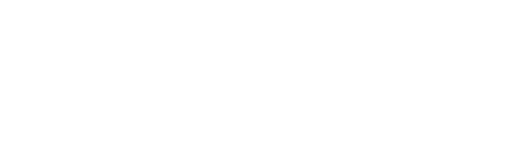 logo-print-hd-transparent-white | NFI Solutions